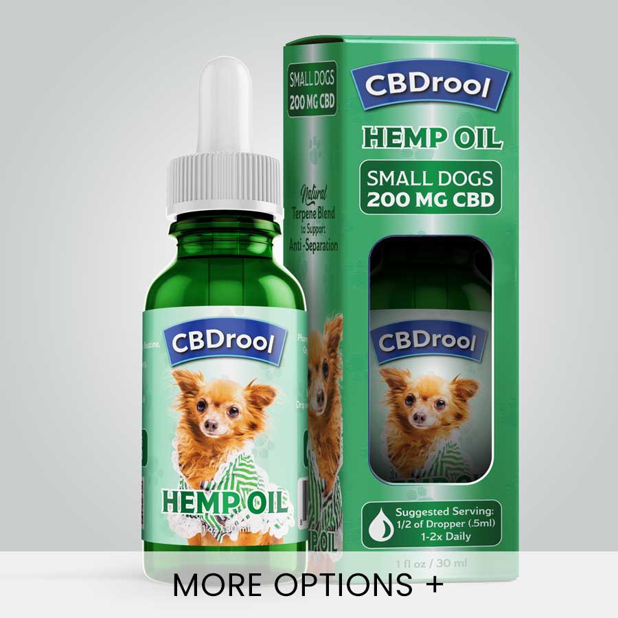 CBDrool's CBD Oil for Dogs | Buy CBD Oil for Pets | Experience CBD